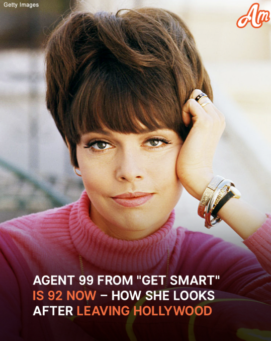 Agent 99 from 'Get Smart' Is 92 Now – How She's Changed After Leaving ...