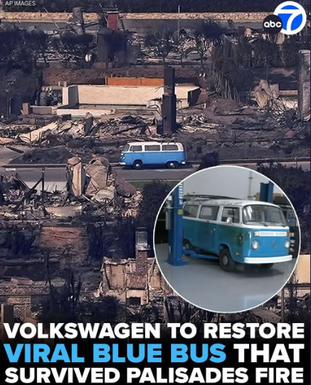 Volkswagen to restore viral blue VW Bus that survived the Palisades ...